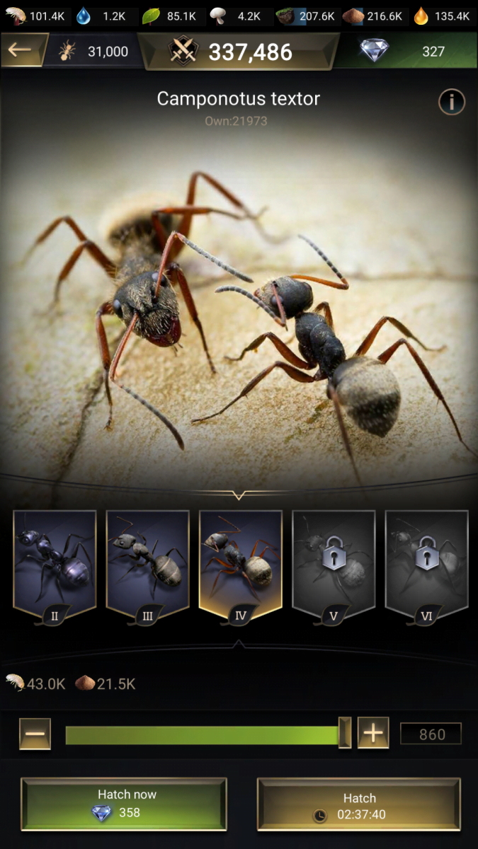 The Ants game: Underground Kingdom How To Play On PC - Mirage Portal